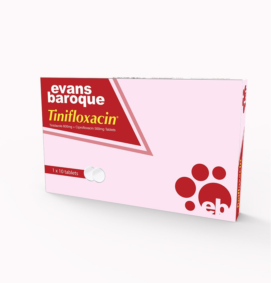 Tinifloxacin - Evans Baroque